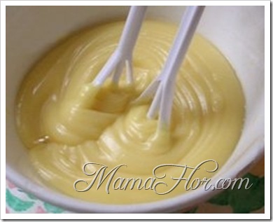 Cocina: Mayonesa Cremosa… - MamaFlor.com